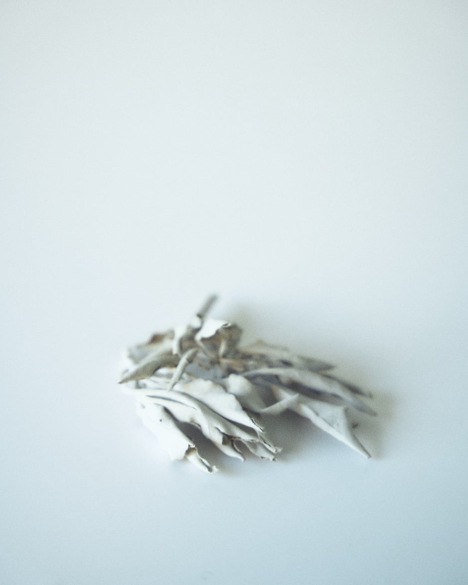 All – Page 3 – VAKT.